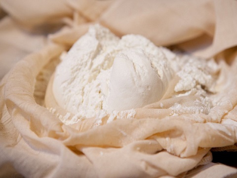 Queso con arte - Nuestros Quesos